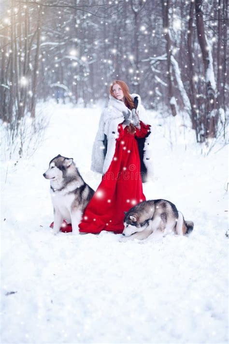 Bella Ragazza In Cappotto Di Pelle Di Pecora Con I Cani Immagine Stock