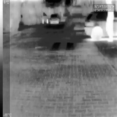 Pedestrians Detection 2 Object Detection Dataset By Detection Con