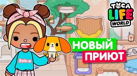 НОВЫЙ ПРИЮТ ДЛЯ ЖИВОТНЫХ в Тока Бока 🐩 Обновление Toca Life world - YouTube