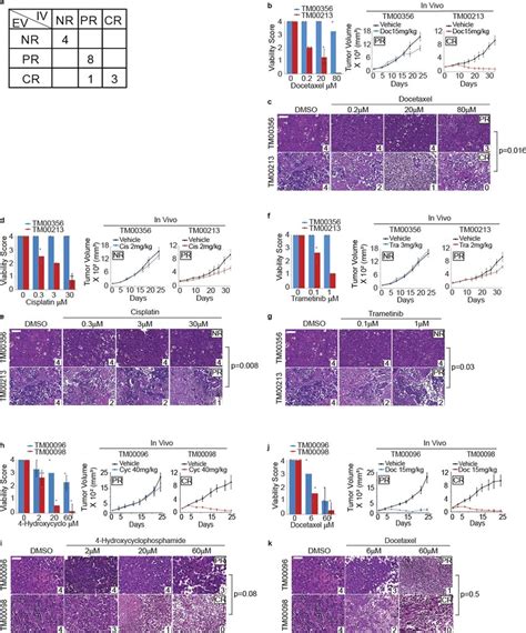 Evoc Can Predict The Response Of Pdx Tumors To Treatment A Table