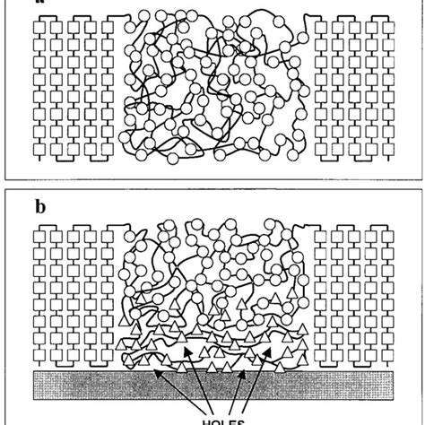 A Schematic Diagram Showing The Distribution Of Crystalline
