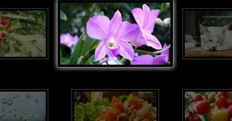 Cara Mudah Membuat Effect Hover Pada Image Dengan CSS Aliy Faizal