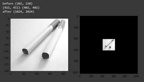 GitHub Paradiddle Cigarette Detecting And Blurring With Mask RCNN A Mask RCNN Model To