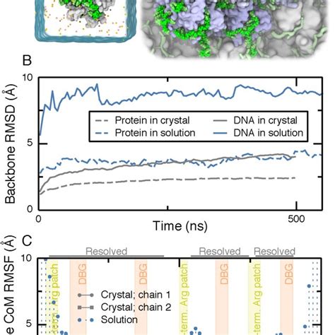 Mobility Of Ssdna On Ssb Surface In Solution And Crystal Structure