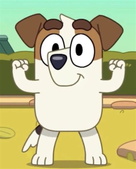 Jack Bluey On Tumblr