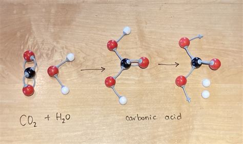Carbonate Precipitation Ingridscienceca