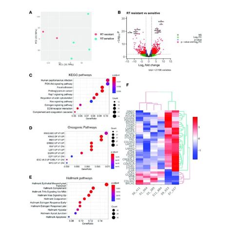 Comparative Analysis Of Baseline Transcriptomes Of Download