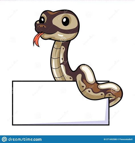 Cute Black Head Butter Ball Python Cartoon With Blank Sign Vector