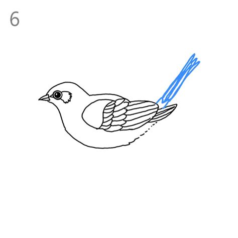 How To Draw A Mockingbird Step By Step Easy Drawing Guides Drawing