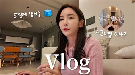 Vlog 부부싸움해서 5일째 대화 안 해본 사람 나요 🏻이사준비구독자 이벤트🎁틱톡 첫 라이브데일리 영양제 추천 셀파렉스 에센셜 클럽비발디 빠지 씰리