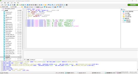 小皮面板的mysql使用 小皮mysql csdn博客