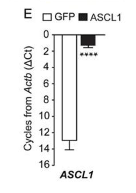 Help With A Qpcr Calculation R Labrats