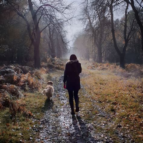 Best R Forest Images On Pholder Best Part Was The Air