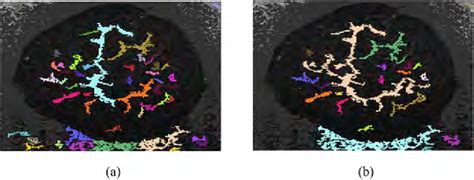 Segmentation A Before And B After Semantic Clustering Download Scientific Diagram