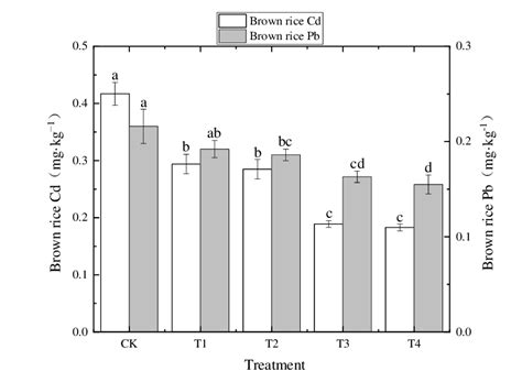 Effect Of Foliar Zn Application On Cd And Pb Concentration In Brown