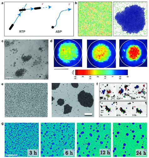 Physical Model Simulation And Experiments Related To Mips A