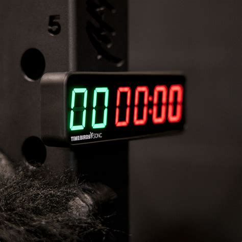 Tabata Timer ⏱ Timebirds Sonic Mini Workout Gym Affenhand 🇩🇪