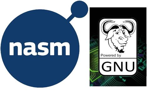 difference between nasm and gas in assembly programming which one is