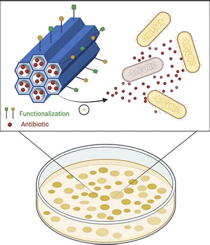 Acs Omega Vol 8 No 13 Acs Publications
