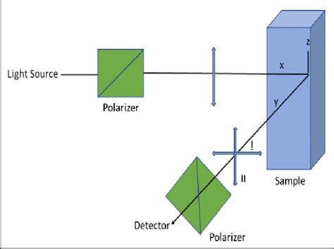 Schematic Drawing For The Measurement Of Fluorescence Polarization