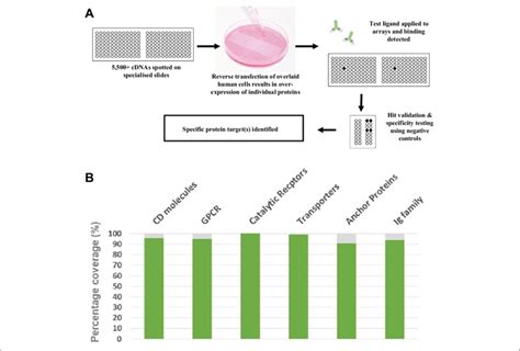 a overview of the cell microarray technology more than 5500 cdnas