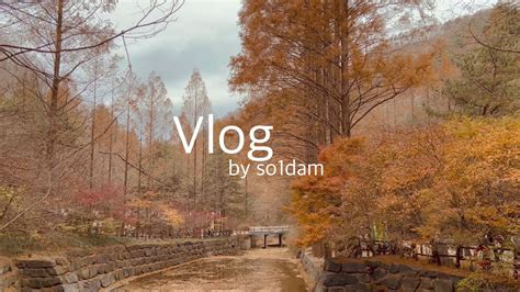 소일담 Vlog 워치스트랩 만들기 ⌚️ 보드게임 페스타 성수동 나들이 태고의 달인 🥁 전사지 컵소서 픽업 🫖