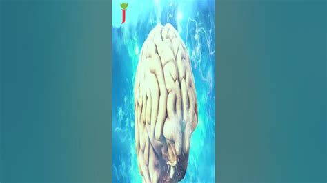 Pls Subscribe Like And Sher 👍 Youtube