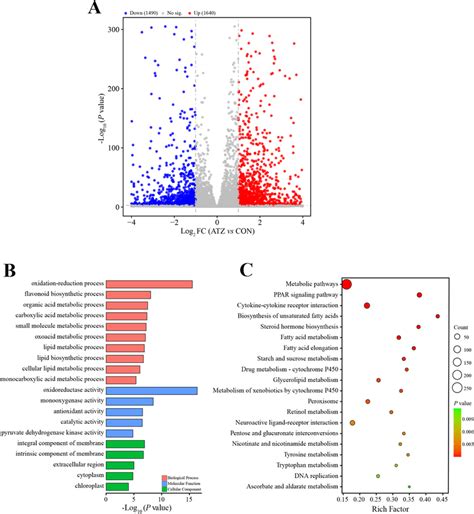 Comparative Transcriptome Analysis Of Hepatocytes Between The Control