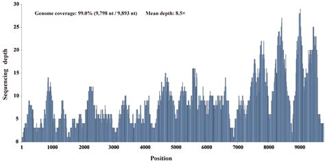 Mapped Read Count Plot Of The Hepacivirus Q Genome The Histograms Show Download Scientific