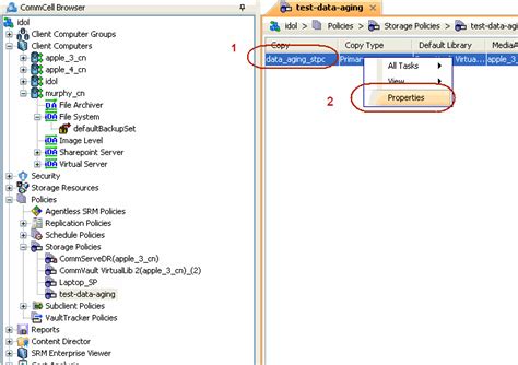 data aging oracle idataagent