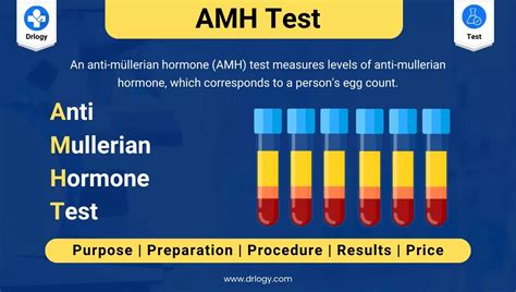 When Should I Take The Amh Test Drlogy
