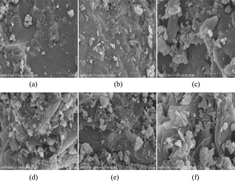 Scanning Electron Microscopic Photos Of Surface Modified Tio2 A Download Scientific Diagram