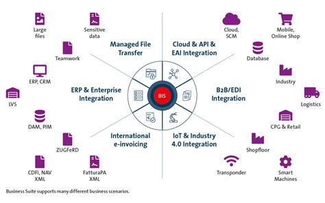 The Ipaas Solution For Efficient Software Integration