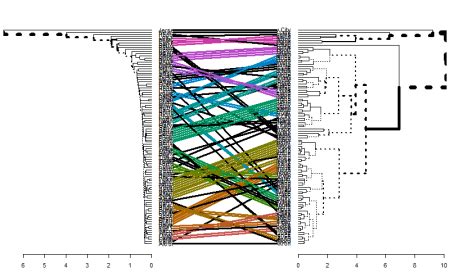 How To Perform Hierarchical Clustering Using R Perceptive Analytics