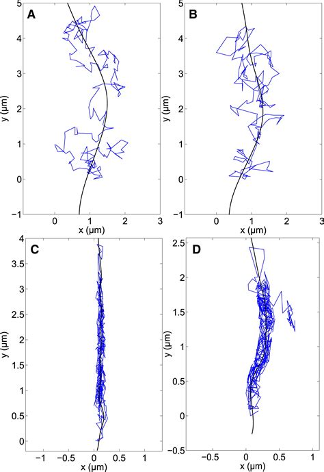 Spatial Structure And Diffusive Dynamics From Single Particle