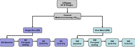 project flowchart this figure describes the sequence of events that