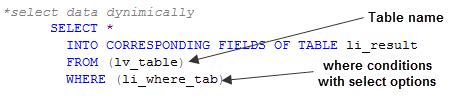Dynamic Data Selection Dynamic SQL SAP Integration Hub