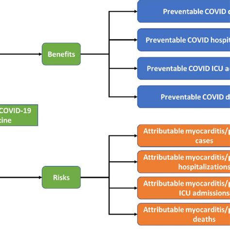 Benefits Risks Value Tree Description A Tree From Left To Right