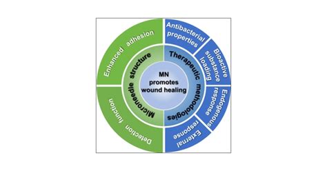 Design Strategy Of Microneedle Systems For Skin Wound Healing Based On The Structure Of Tips