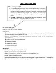 Lab Biomolecules Docx Lab Biomolecules Before Coming To The Lab Read