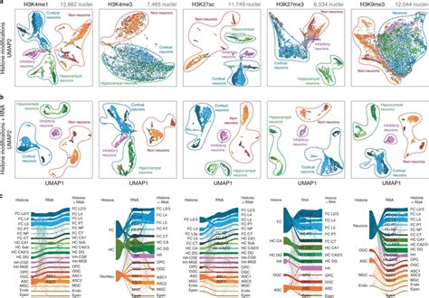 histone modification based cell clustering recapitulates download
