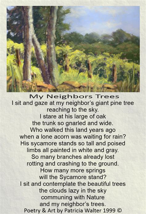 My Neighbors Trees A Poets Corner