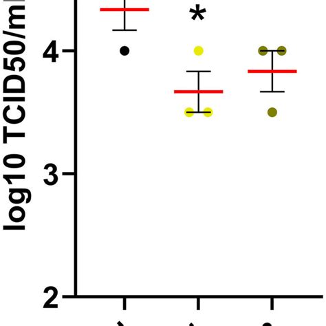 O Tcid50 Assay To Measure Infectious Viral Titers In The Culture Data