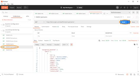 Nginx Plus Api Live Monitoring