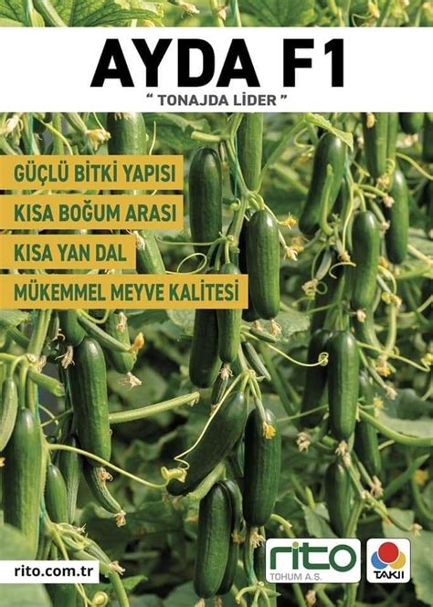 Ahmet Onur Posted On Linkedin