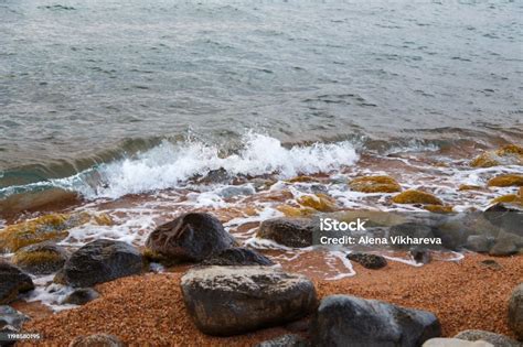바다 해변에 돌입니다 목초지 겨울 날입니다 맑은 물과 모래 키르기스스탄 이식쿨 호수 0명에 대한 스톡 사진 및 기타 이미지 0명 관광 낮 Istock