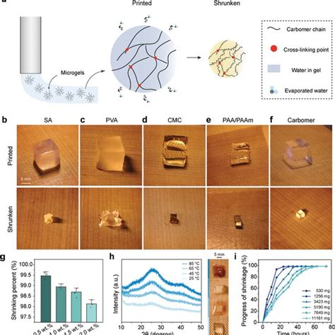 The Shrinking Behavior Of 3d Printed Scaffolds A Optical Microscope Download Scientific