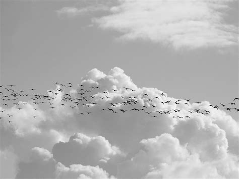 Multi Cloud Fog Edge And Hybrid Computing Whats The Difference