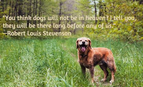 13 Dog Loss Quotes Comforting Words When Losing A Friend