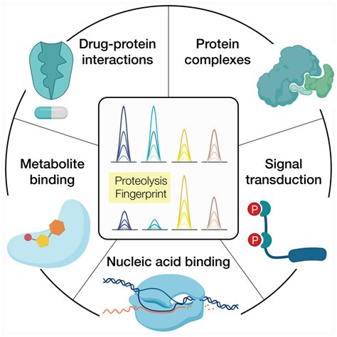 Scientific Vision Ilaria Piazza Laboratory